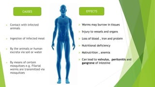 Introduction to helminthiasis | PPTX