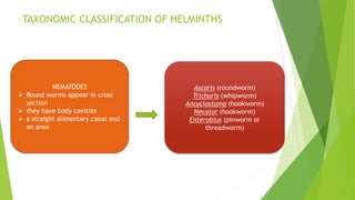 Introduction to helminthiasis | PPTX