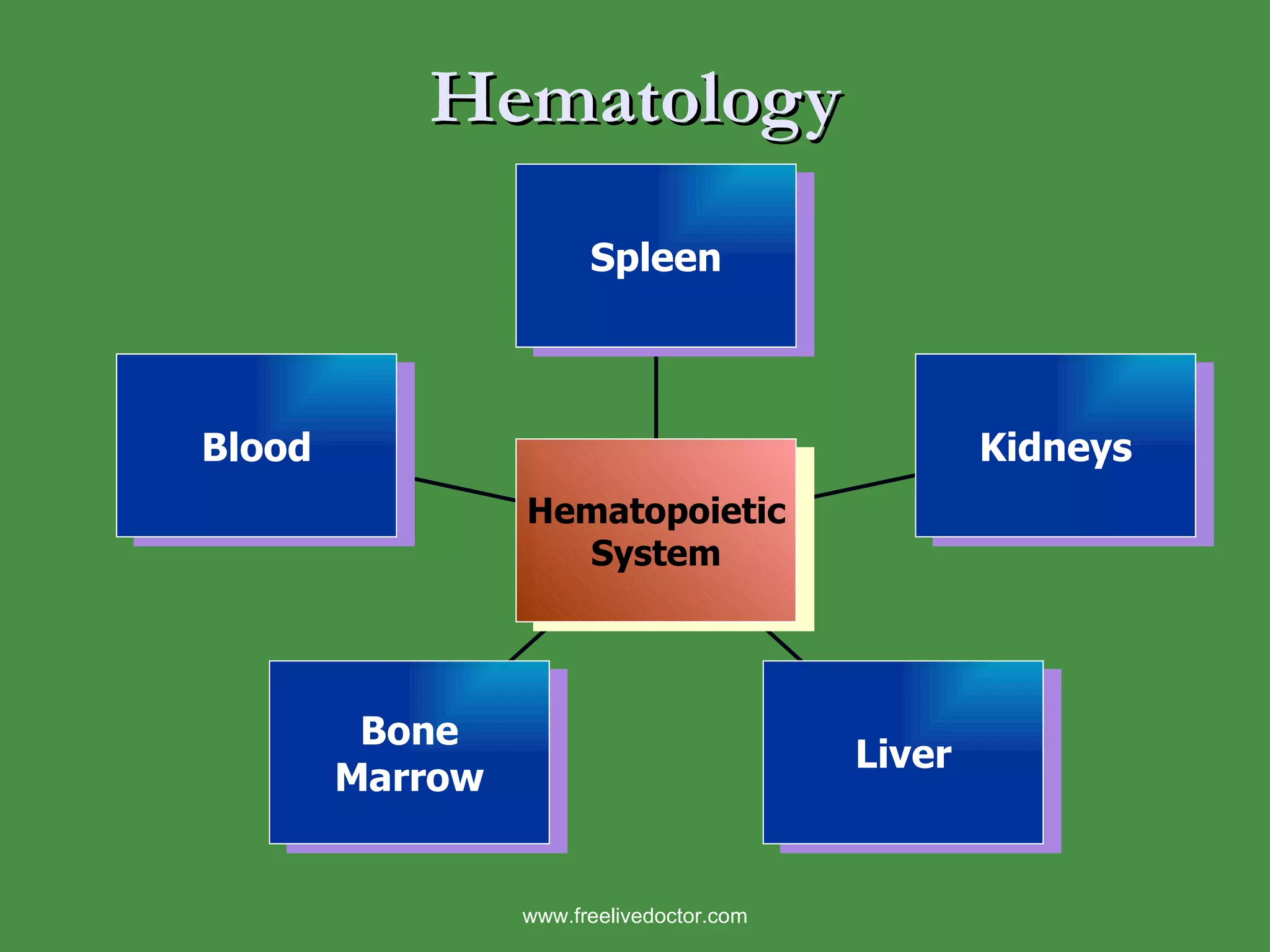 Introduction to hematology | PPT