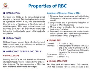 Introduction to hematology | PPTX