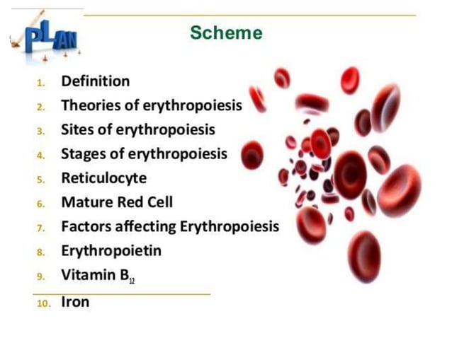 Introduction to hematology | PPTX