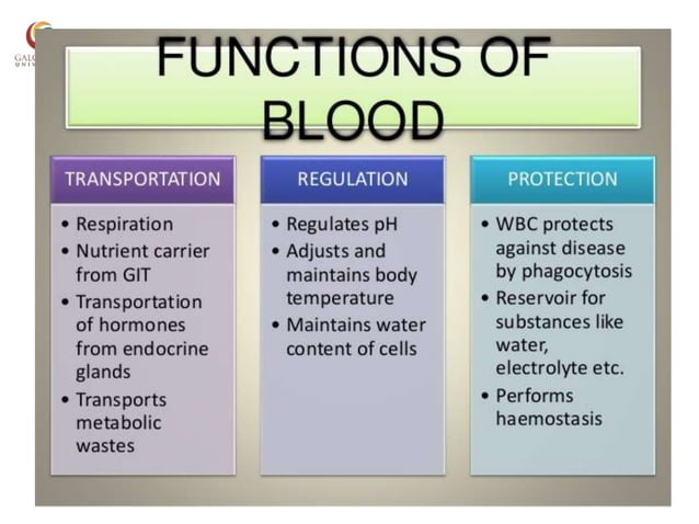 Introduction to hematology | PPTX