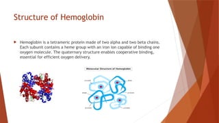Introduction to Hemoglobin, synthesis, working, Bohr's effect, types. | PPT