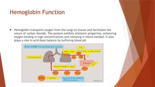 Introduction to Hemoglobin, synthesis, working, Bohr's effect, types. | PPT