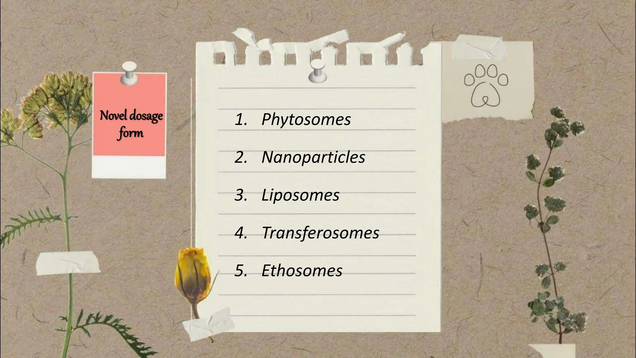 INTRODUCTION TO HERBAL FORMULATIONS.pptx