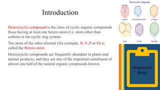 Introduction to Heterocycle.pptx 15.01.2025.pptx