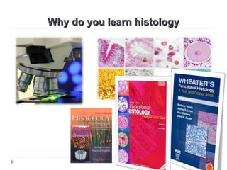 Introduction to histology | PPS