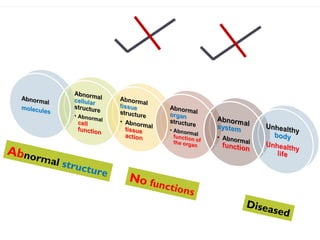 Introduction to histology | PPS