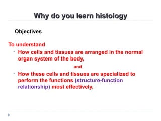 Introduction to histology | PPS