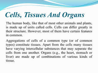 Introduction to histology | PPTX | Biological Sciences | Science