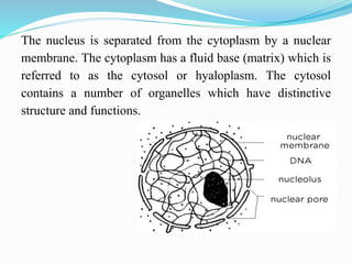 Introduction to histology | PPTX | Biological Sciences | Science