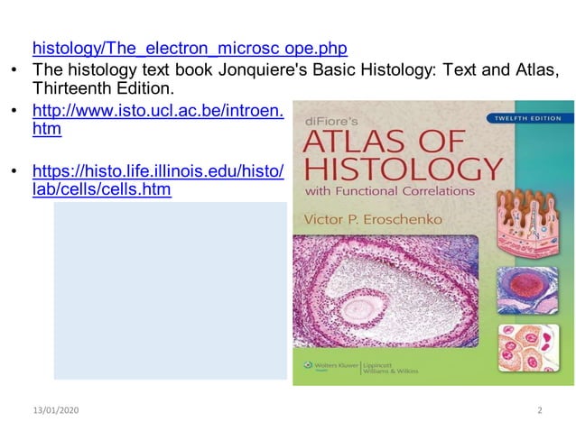 Histology | DOCX | Biological Sciences | Science