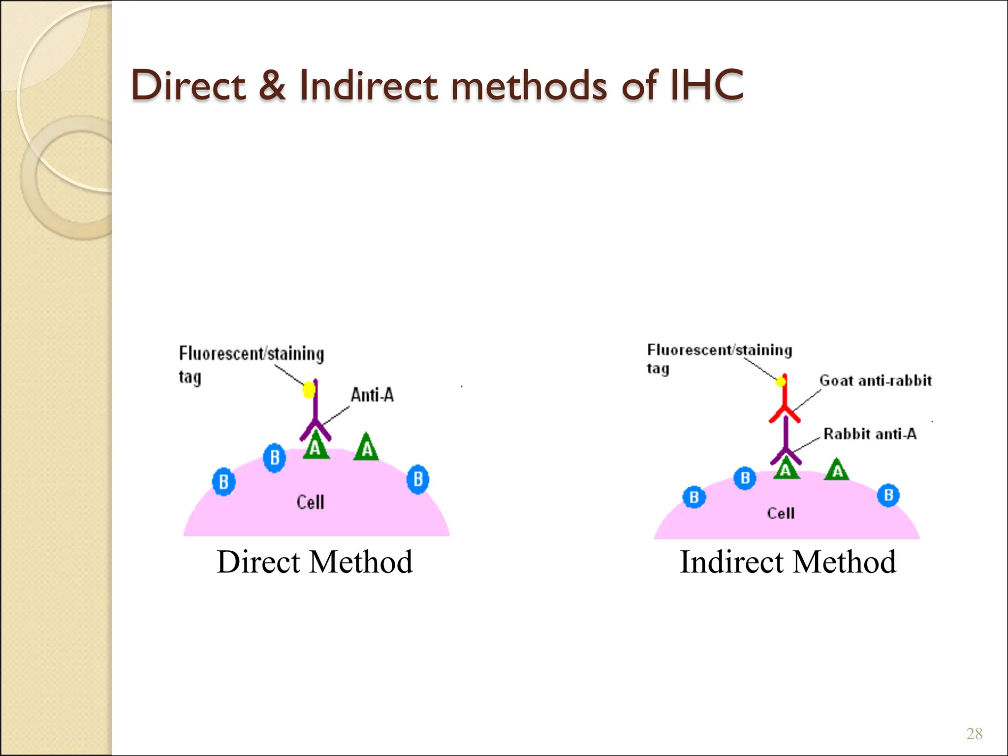 introduction to histology and its methods of study.pdf
