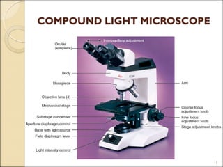 introduction to histology and its methods of study.pdf