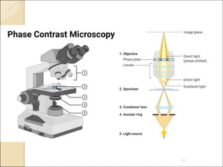 introduction to histology and its methods of study.pdf