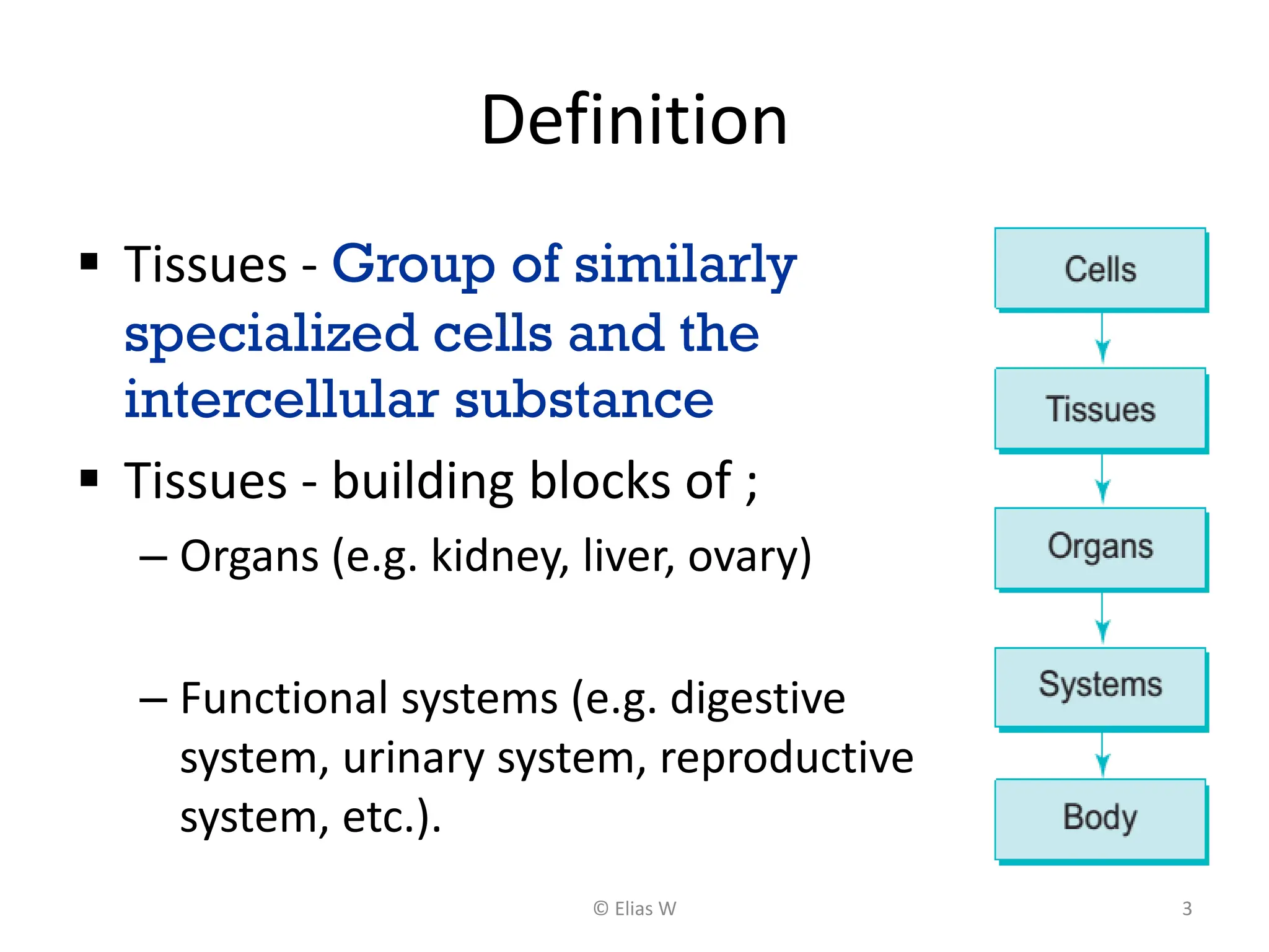Introduction to Histology~PC1 - Copy.pdf
