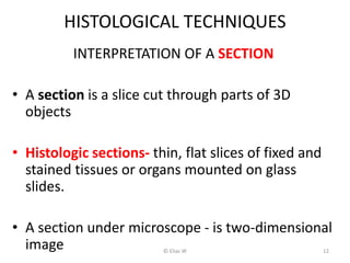 Introduction to Histology~PC1 - Copy.pdf