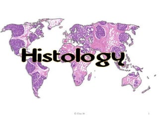 Introduction to Histology~PC1 - Copy.pdf