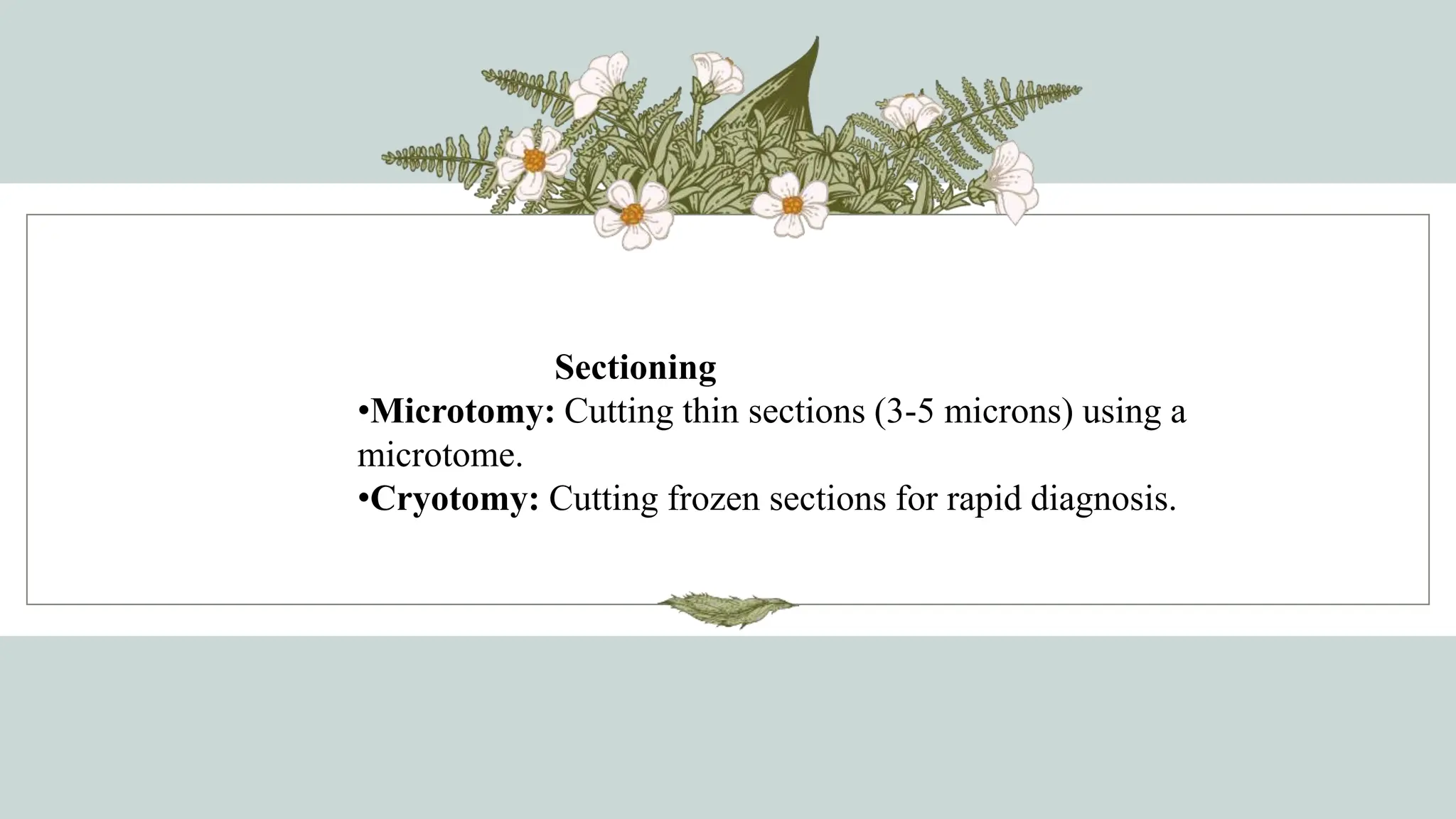 Introduction to Histotechnology.pptx.... | PPTX