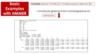 Introduction to HMMER - A biosequence analysis tool with Hidden Markov Models | PPTX | Databases ...