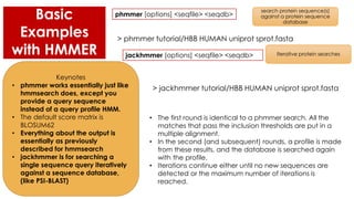 Introduction to HMMER - A biosequence analysis tool with Hidden Markov Models | PPTX