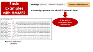 Introduction to HMMER - A biosequence analysis tool with Hidden Markov Models | PPTX | Databases ...