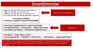 Introduction to HMMER - A biosequence analysis tool with Hidden Markov ...