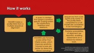 Introduction to HMMER - A biosequence analysis tool with Hidden Markov ...