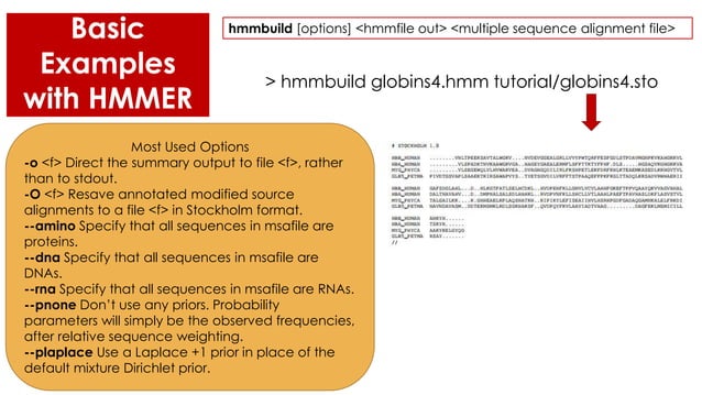 Introduction to HMMER - A biosequence analysis tool with Hidden Markov ...