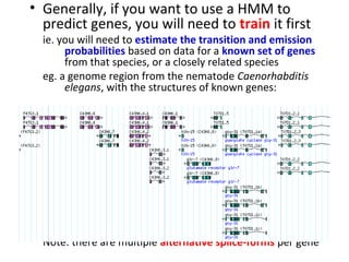 Introduction to HMMs in Bioinformatics | PPT