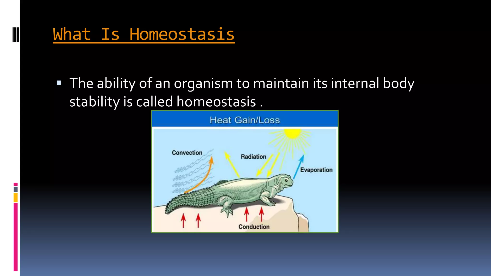 Introduction to homeostasis | PPTX