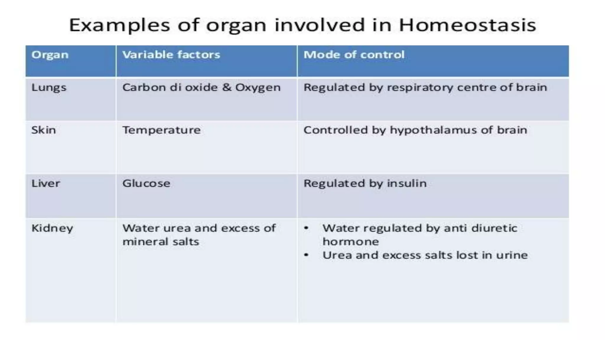 Introduction to homeostasis | PPTX