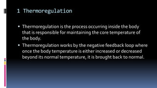 Introduction to homeostasis | PPTX