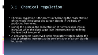 Introduction to homeostasis | PPTX