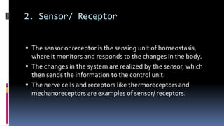 Introduction to homeostasis | PPTX