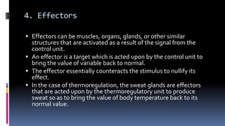 Introduction to homeostasis | PPTX
