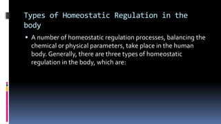 Introduction to homeostasis | PPTX