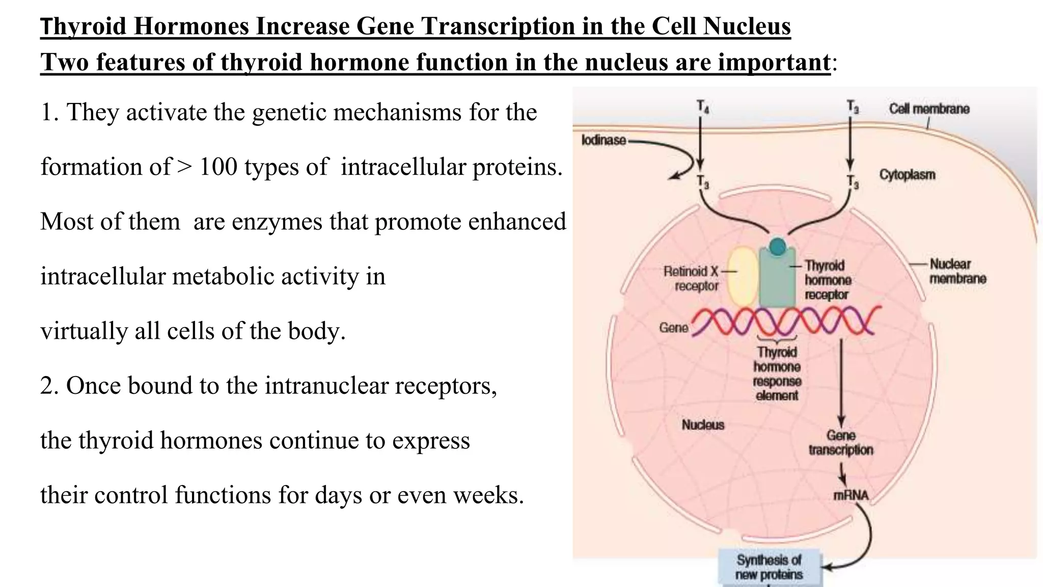 Introduction to hormones | PPTX