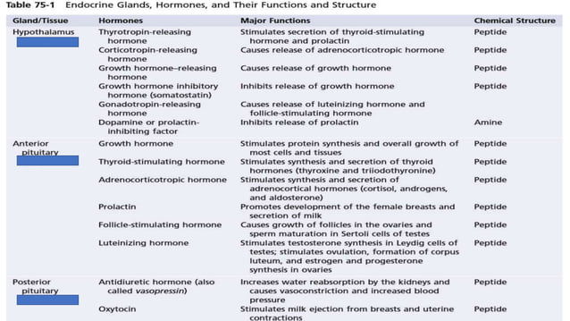 Introduction to hormones | PPTX