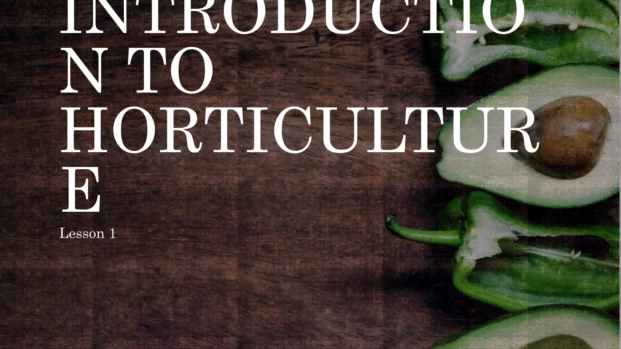 Introduction to horticulture.pptx