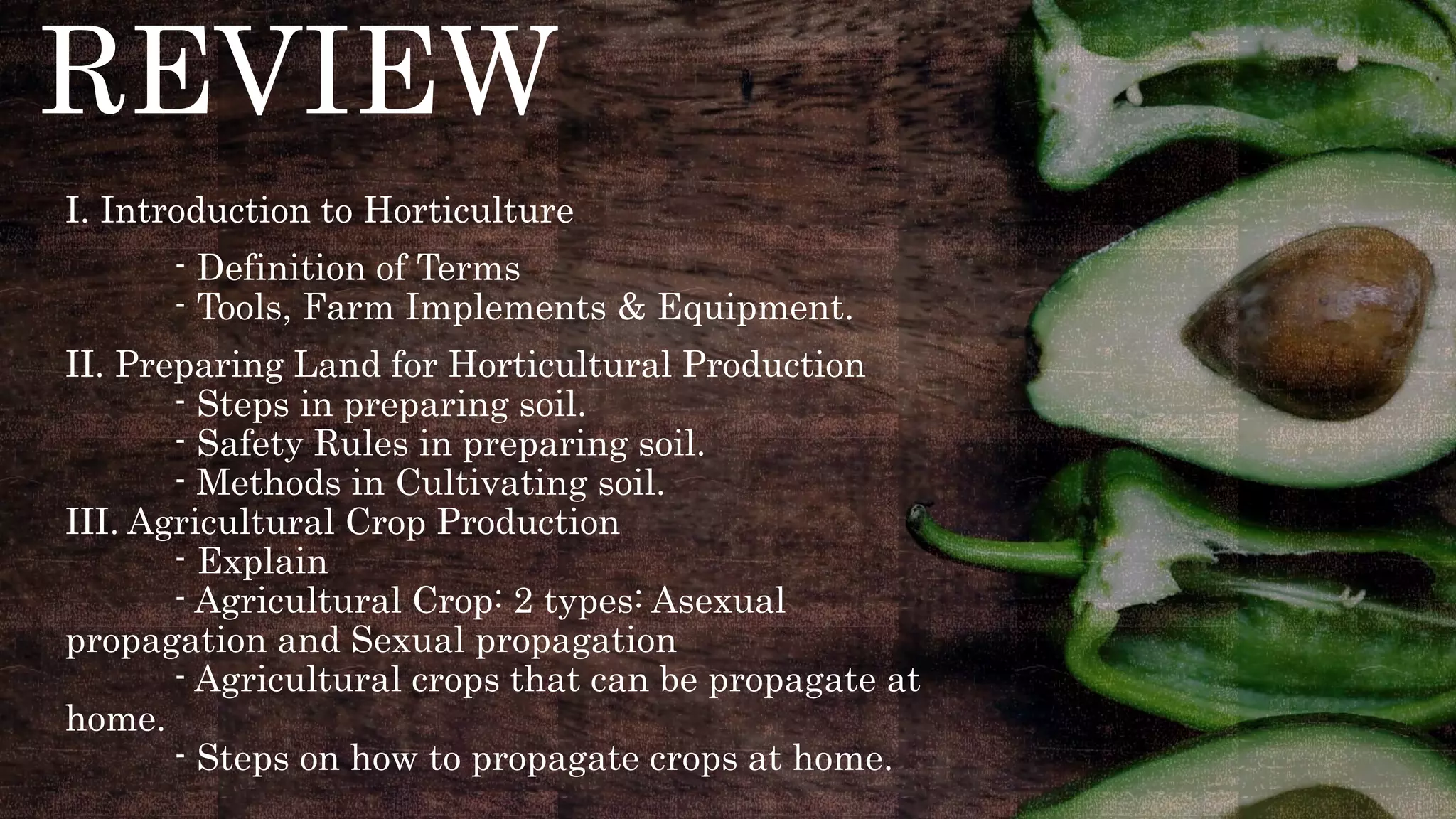 Introduction to horticulture.pptx