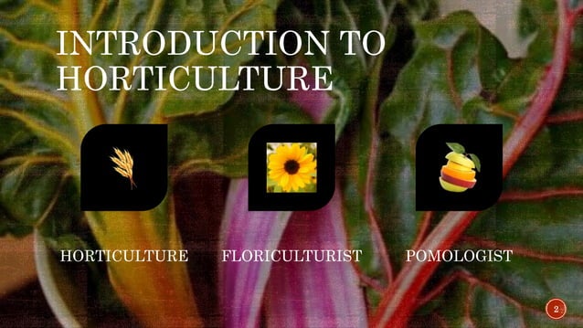 Introduction to horticulture.pptx | Agriculture | Industries