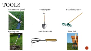Introduction to horticulture.pptx