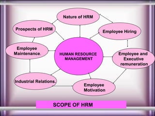 Introduction to hrm | PPT
