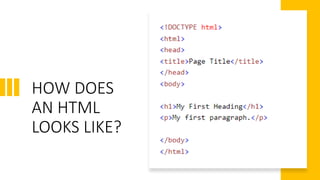 INTRODUCTION TO HTML.pptx