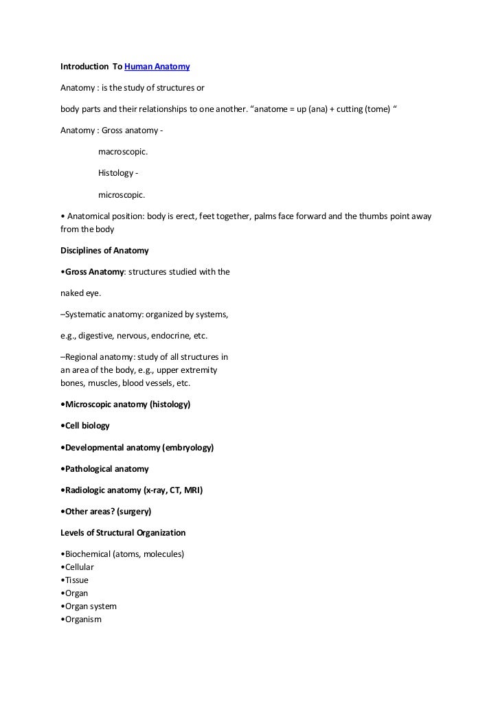 Medical Terminology Human Anatomy