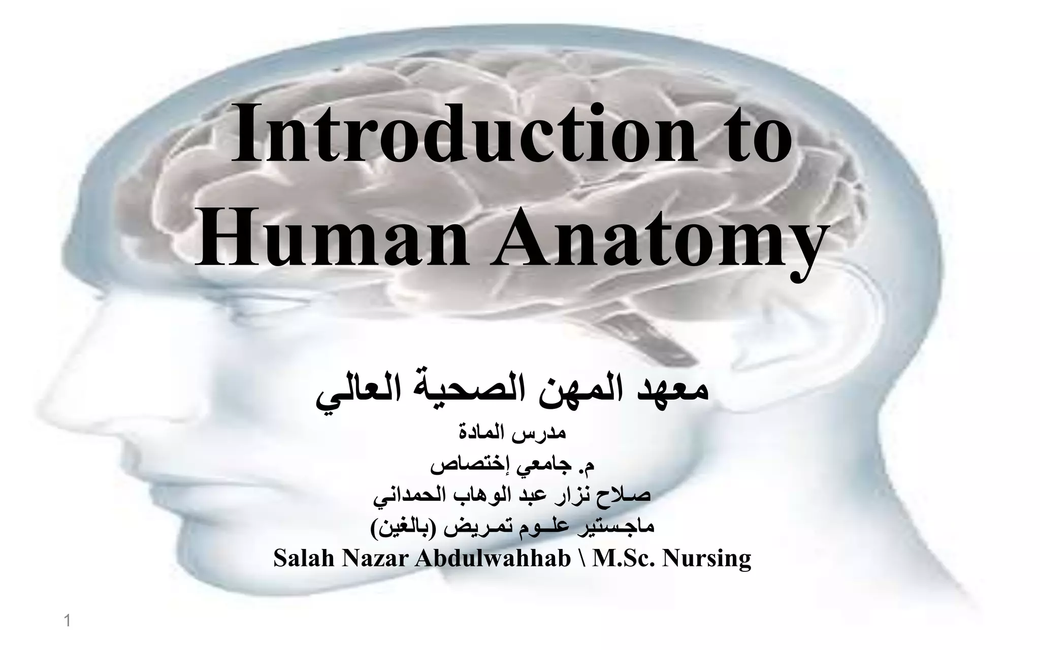 Introduction to human anatomy | PPTX | Pregnancy | Reproductive Health