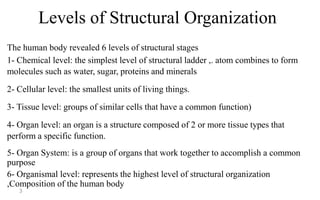 Introduction to human anatomy | PPTX