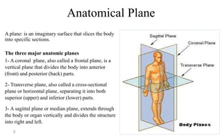 Introduction to human anatomy | PPTX