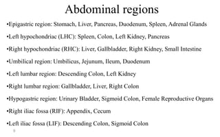 Introduction to human anatomy | PPTX